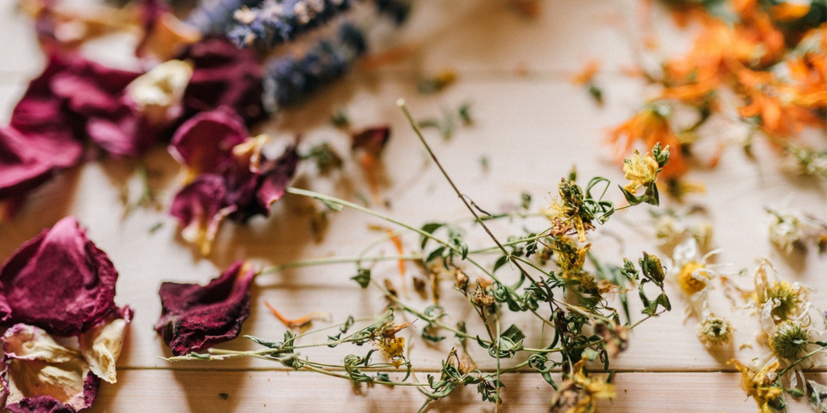 How Long Do Dried Flowers Last? | The Floraly Journal