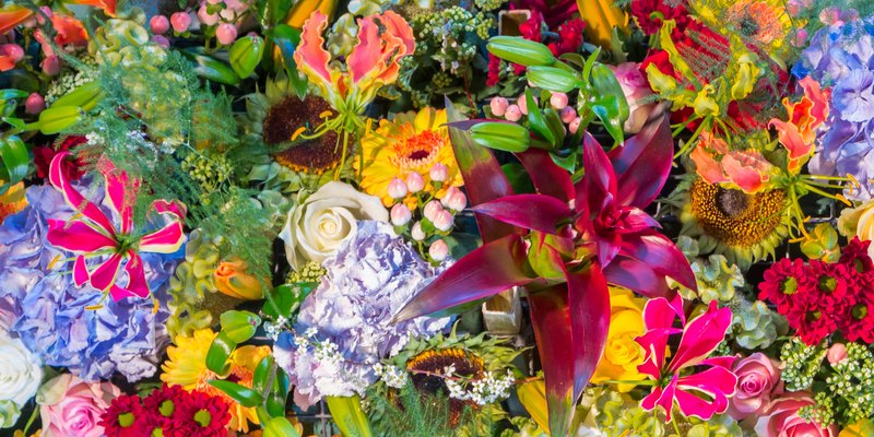 Floriography: The Meaning of Flowers | The Floraly Journal