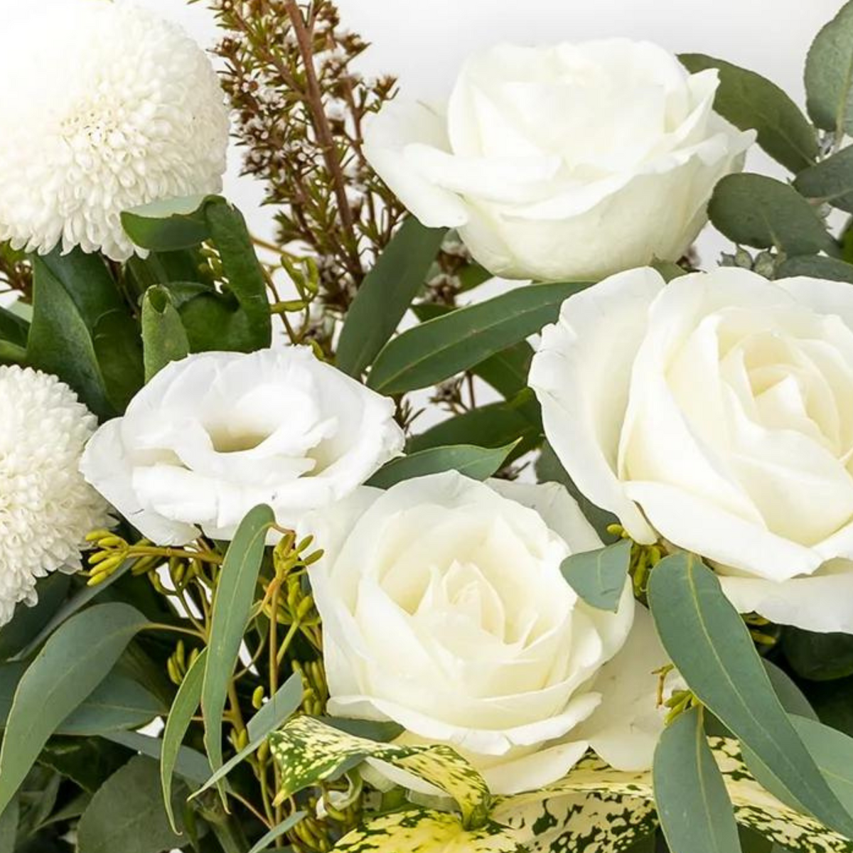 Appropriate flowers for funeral store