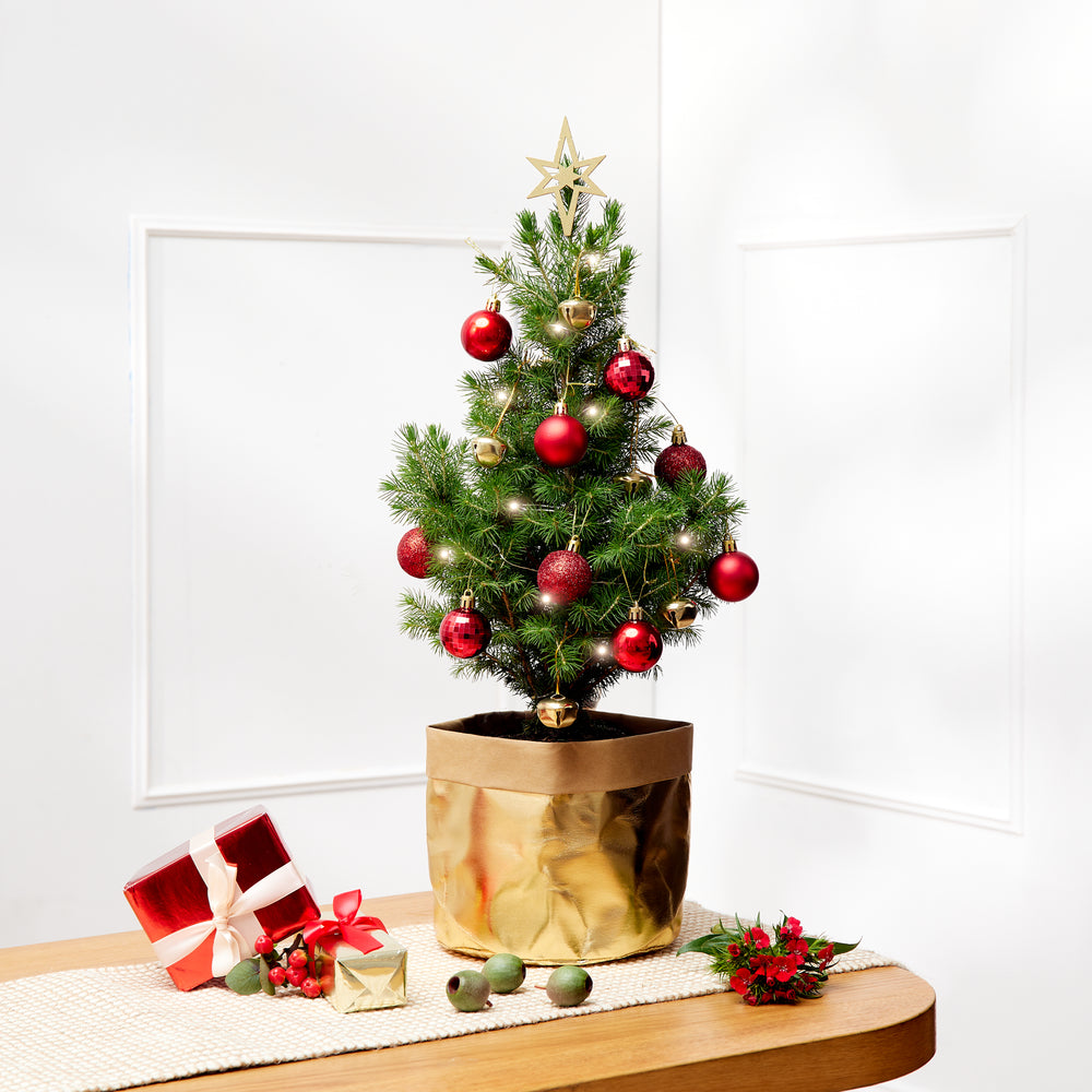 Tiny Christmas Tree - Send Thoughtful Gifts - Floraly