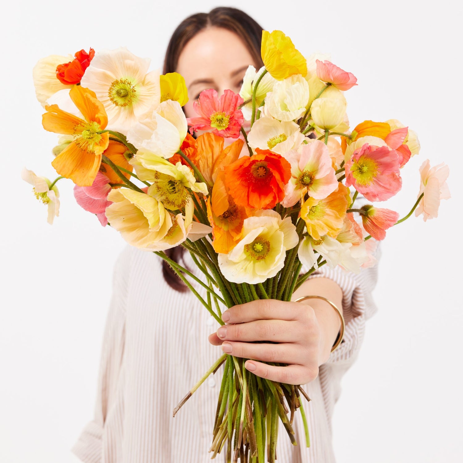 Mixed Poppies | Assorted Colours | Floraly