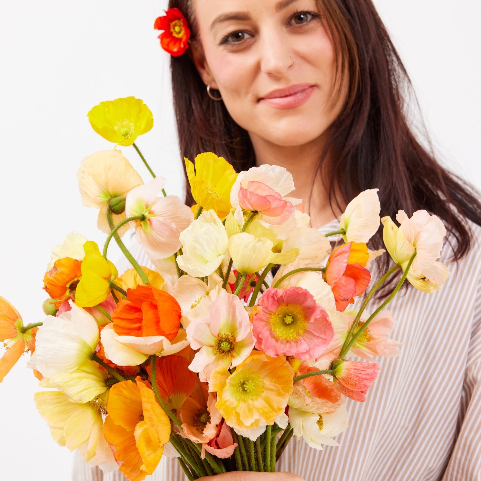 Mixed Poppies | Assorted Colours | Floraly