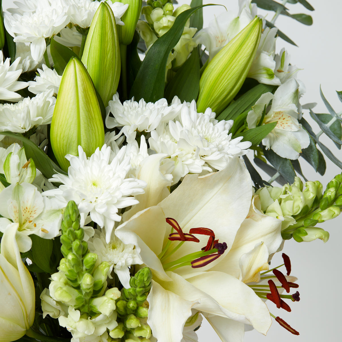 Perth Flower Delivery & Gifts