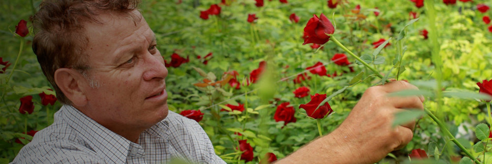 Seasonal Flower Subscription - Send Flower Subscriptions - Floraly