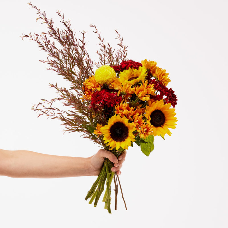 Florist's Pick By Floraly - Send Fresher Flowers