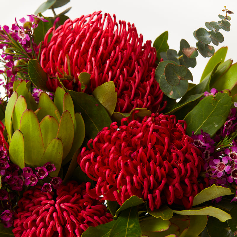 The Warada | Waratah Bouquet | Australian Natives | Floraly