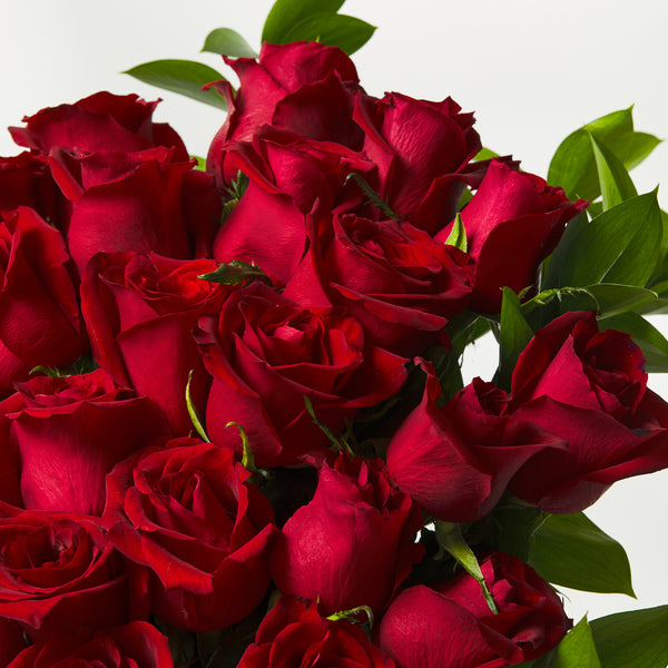 Deluxe Red Roses | Floraly - Same Day Flower Delivery