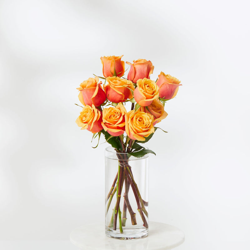 Deluxe Orange Roses By Floraly - Send Fresher Flowers
